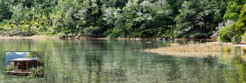 Matai Bay Hut